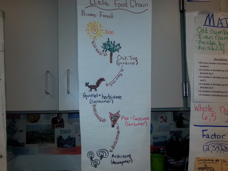 Anchor Chart Friday (originally posted 12/6/2013) | The Pensive Sloth